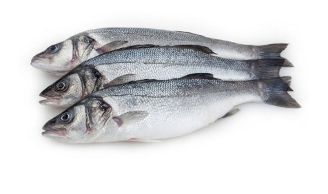 Sea bass, 300-400g, 20% glaze, gutted, head on, frozen, ~5kg | ePromo